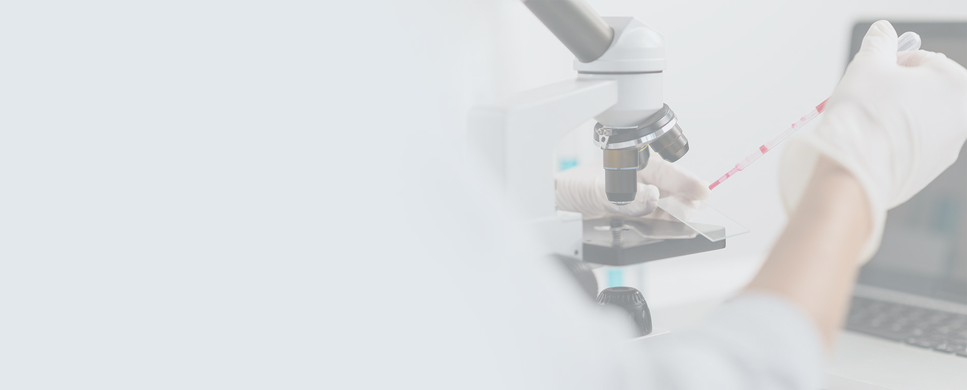 Alma Medical Laboratory